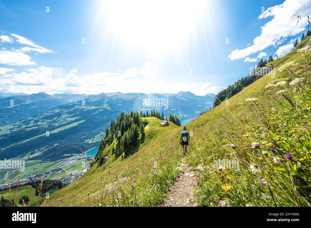 Description: Mountaineer walks on flowery path through a steep meadow ...