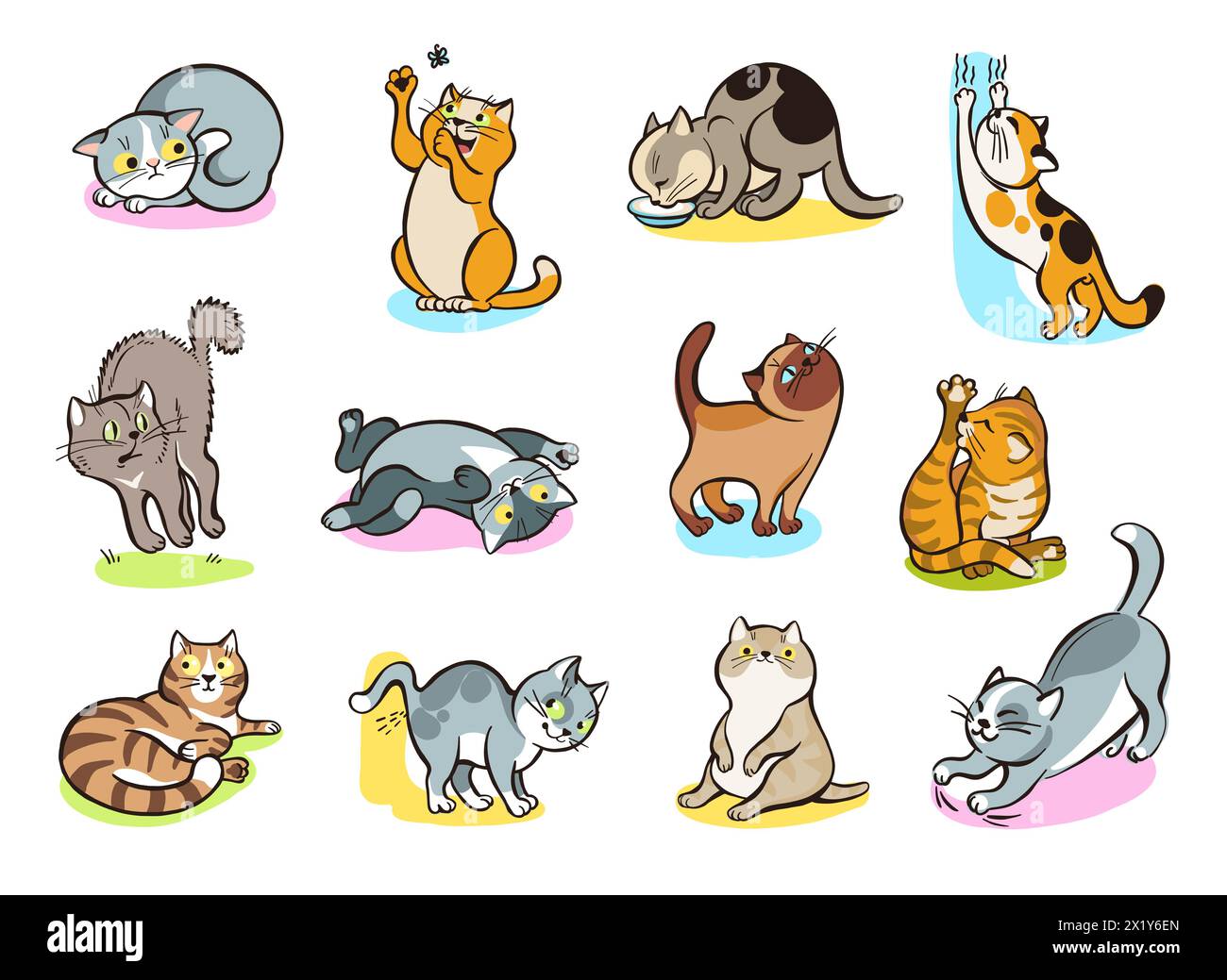 Cats behavior. Cute pets of different colors and breeds. Domestic ...