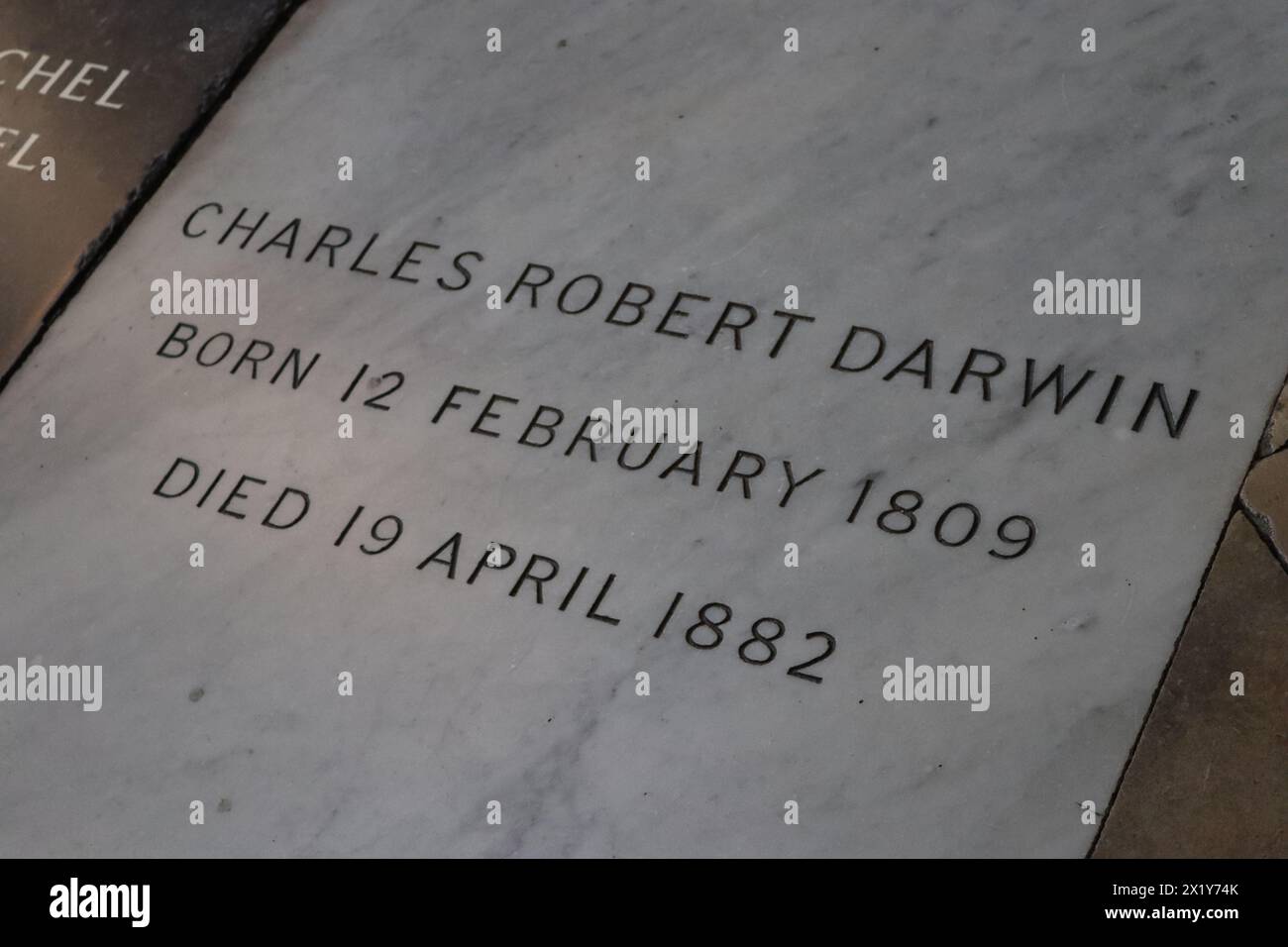 Charles Darwin plaque, Westminster Abbey Stock Photo - Alamy