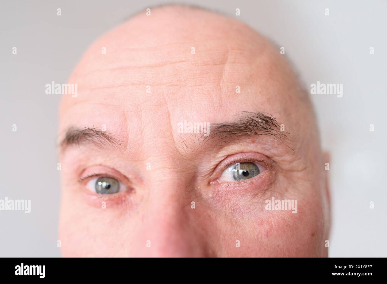 Strong eye expressions hi-res stock photography and images - Alamy