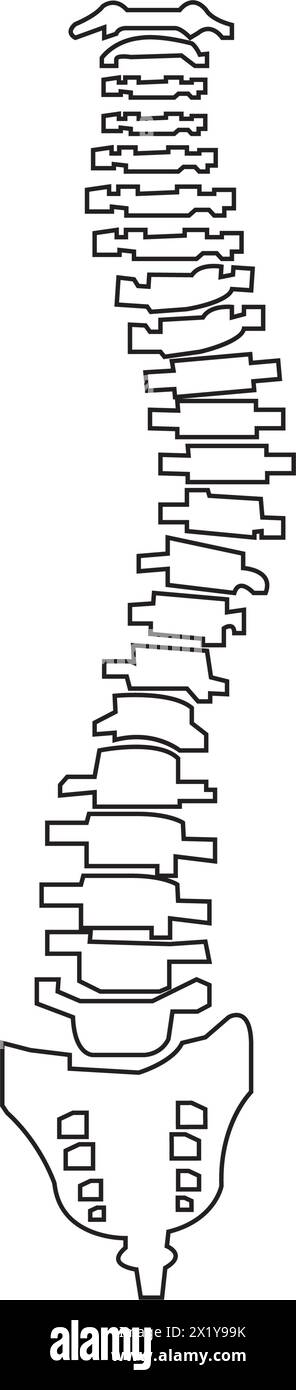 Spine icon,vector illustration logo template Stock Vector Image & Art ...