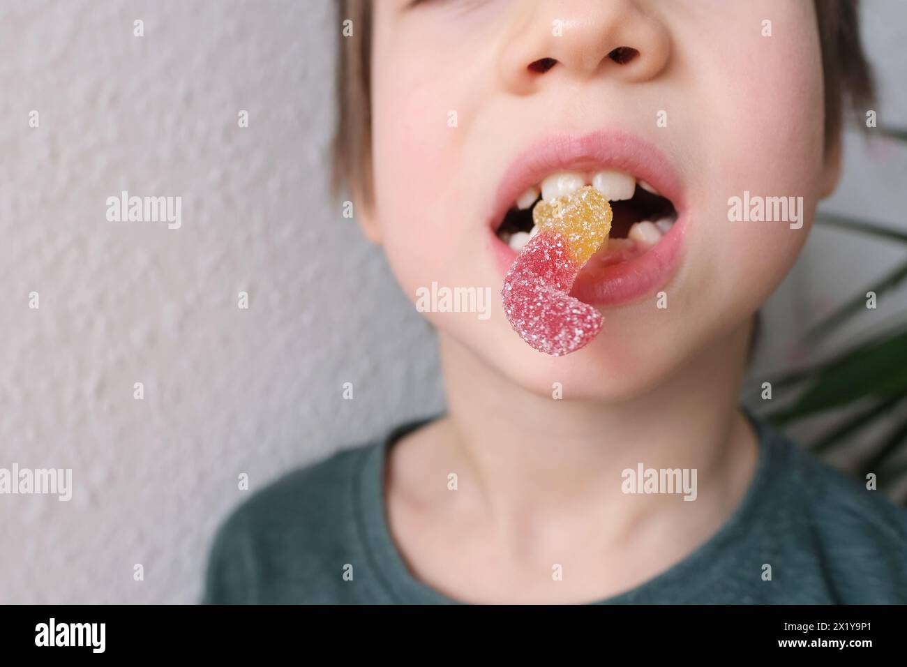 little child, kid eating sweet gelatin candies, looking forward to ...