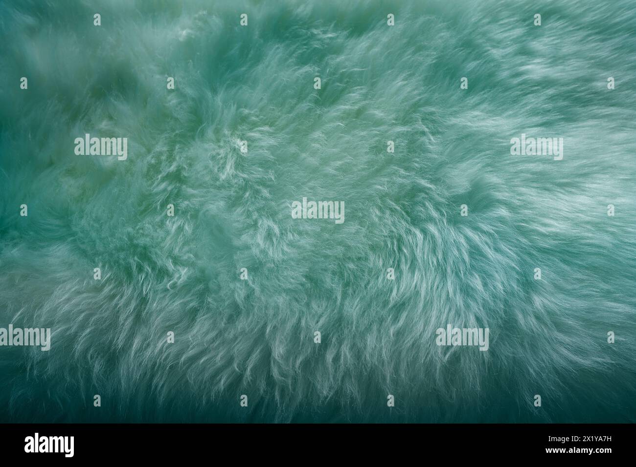 turquoise sheepskin texture with soft hairs, natural fur for the ...