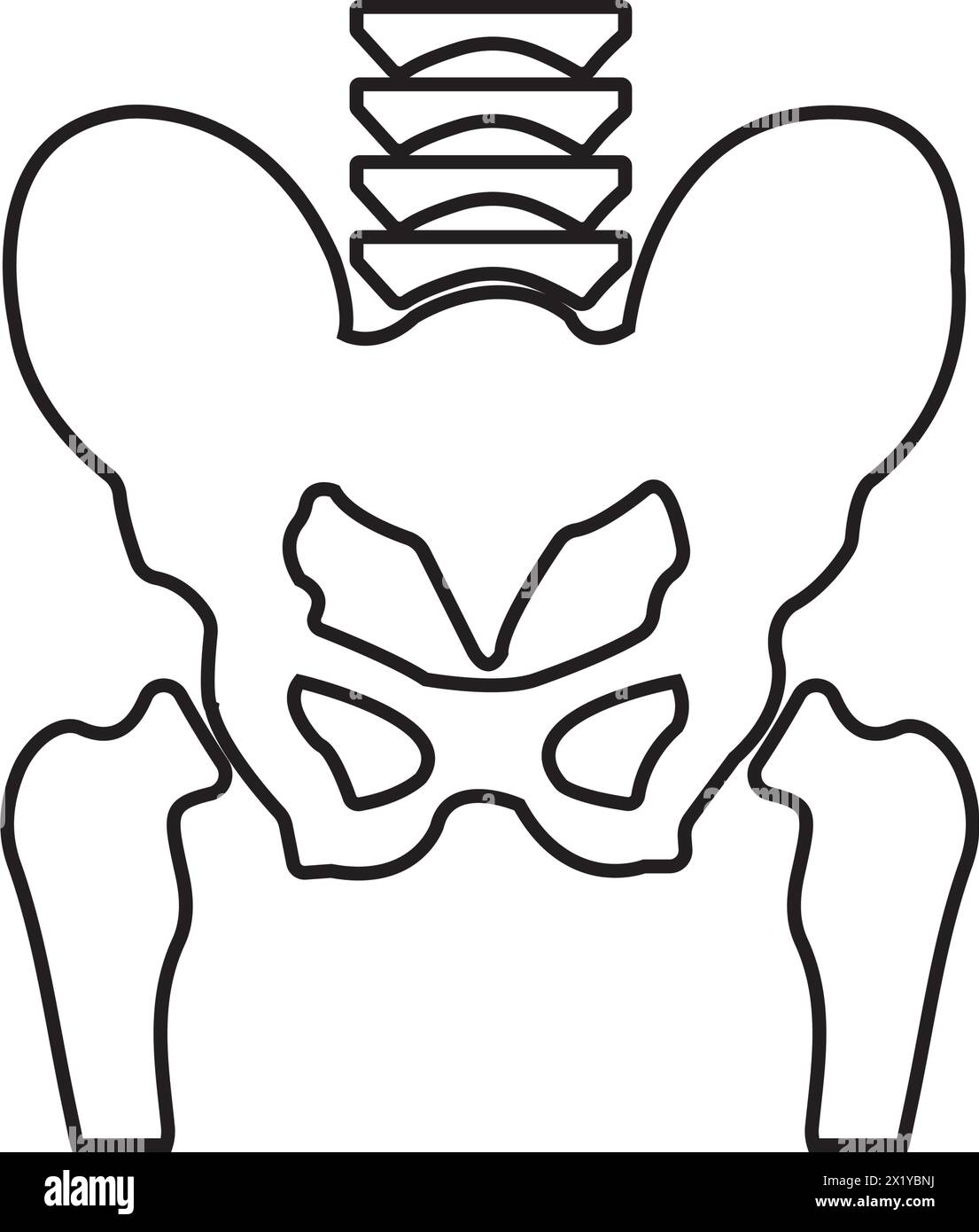 Hip Bone icon vector illustration logo design Stock Vector Image & Art ...