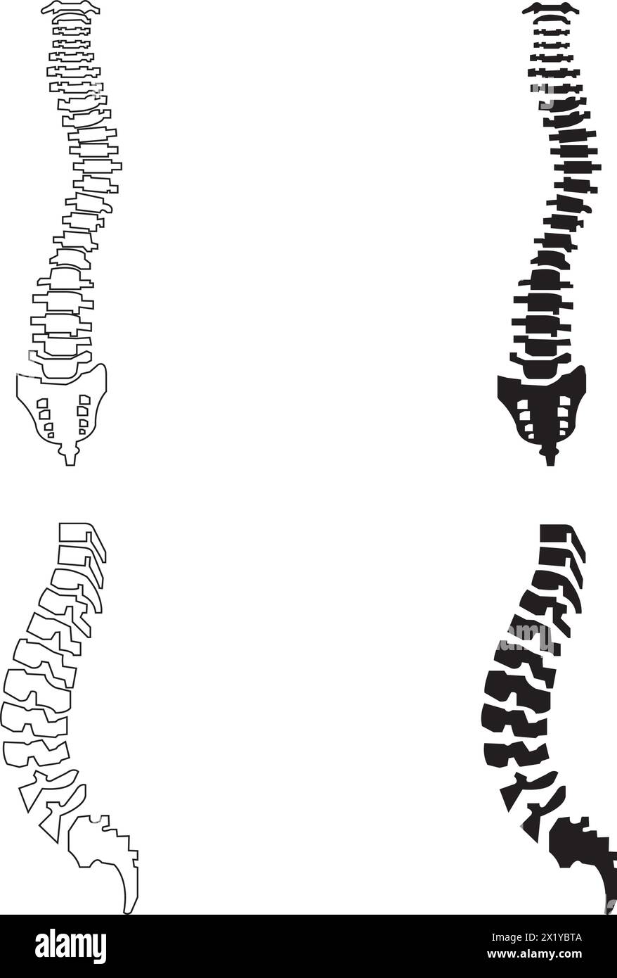 Spine icon,vector illustration logo template Stock Vector Image & Art ...