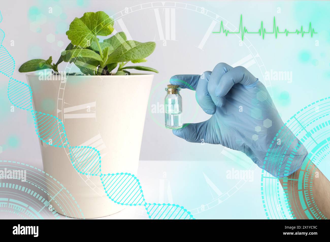 young pumpkin sprouts, scientist's hand with liquid bottle, concept of ...