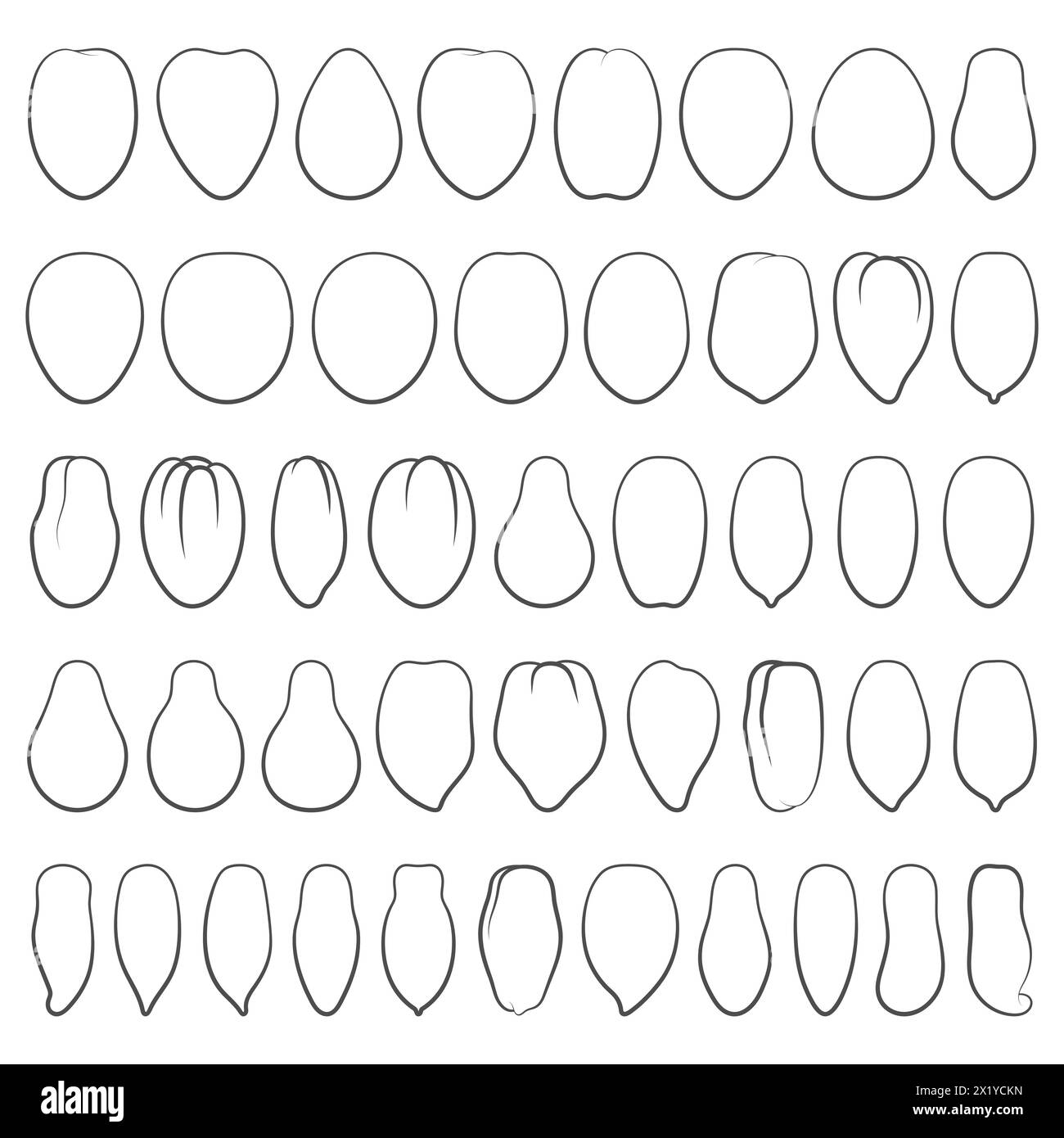 Set Of Black And White Illustrations With Tomatoes Isolated Vector Objects On White Background
