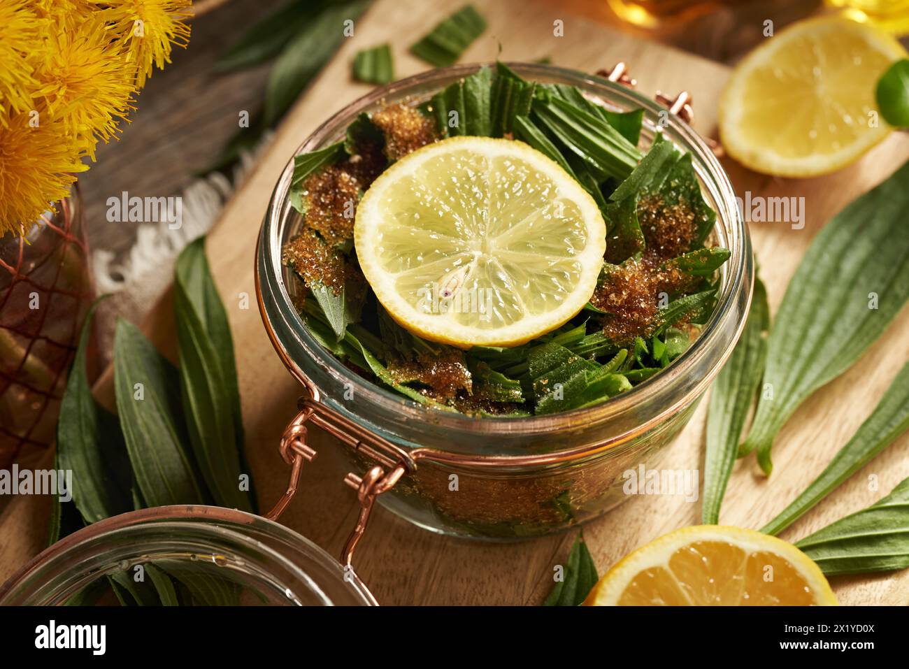 Preparation of ribwort plantain syrup for cough from fresh leaves, cane ...