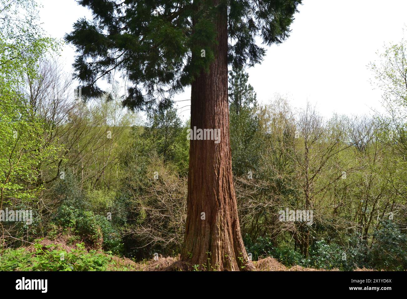 Mariners ridge hi-res stock photography and images - Alamy