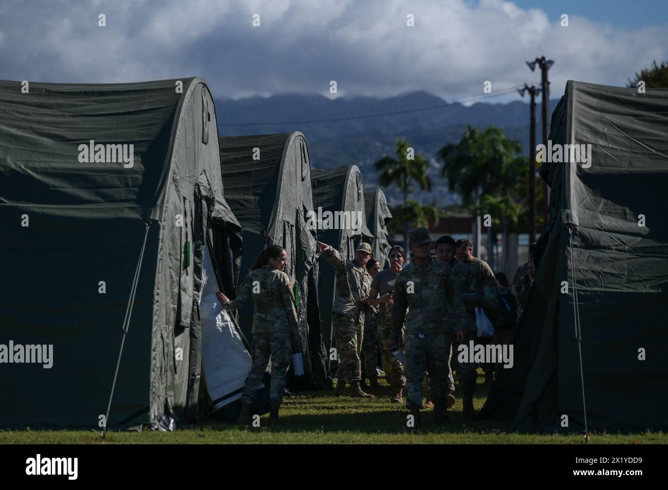 Airmen assigned to the 15th Medical Group transfer tents while training ...