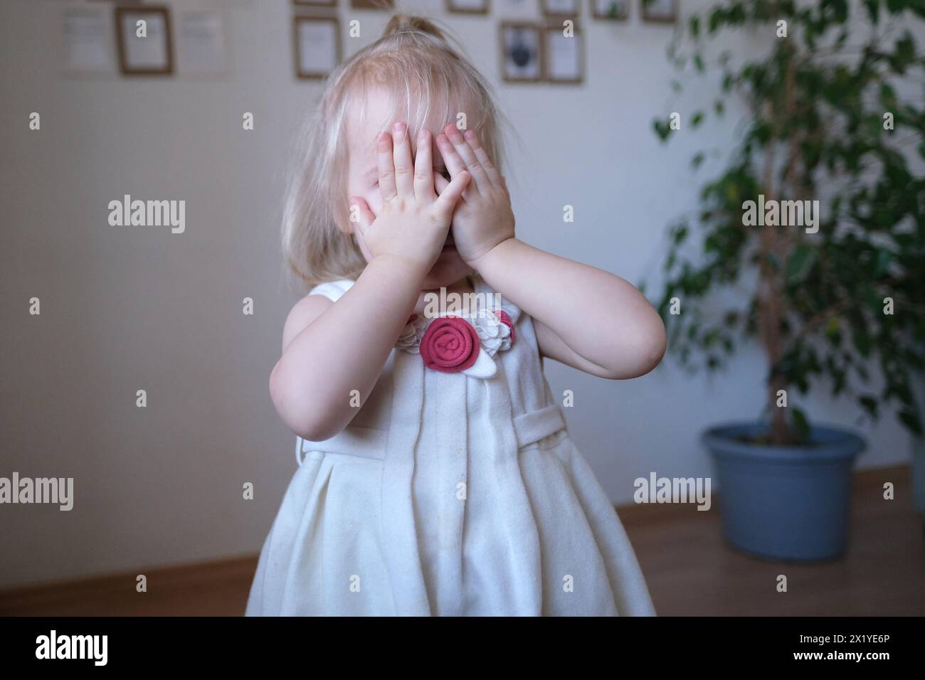 small child, baby, a blonde girl stands, covering her face with her ...