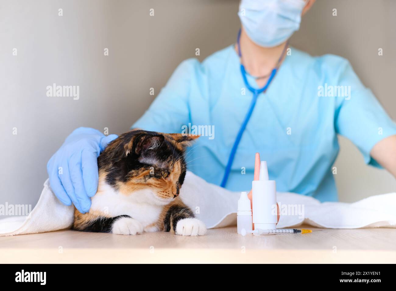 male doctor, veterinarian in mask, with a stethoscope in veterinary ...