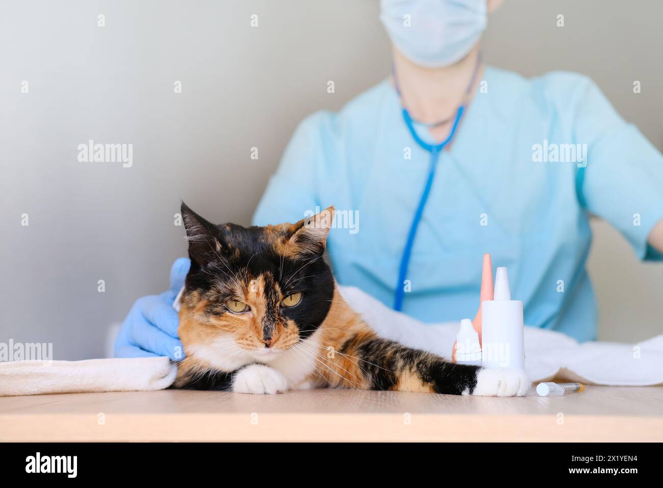 male doctor, veterinarian in mask, with a stethoscope in veterinary ...
