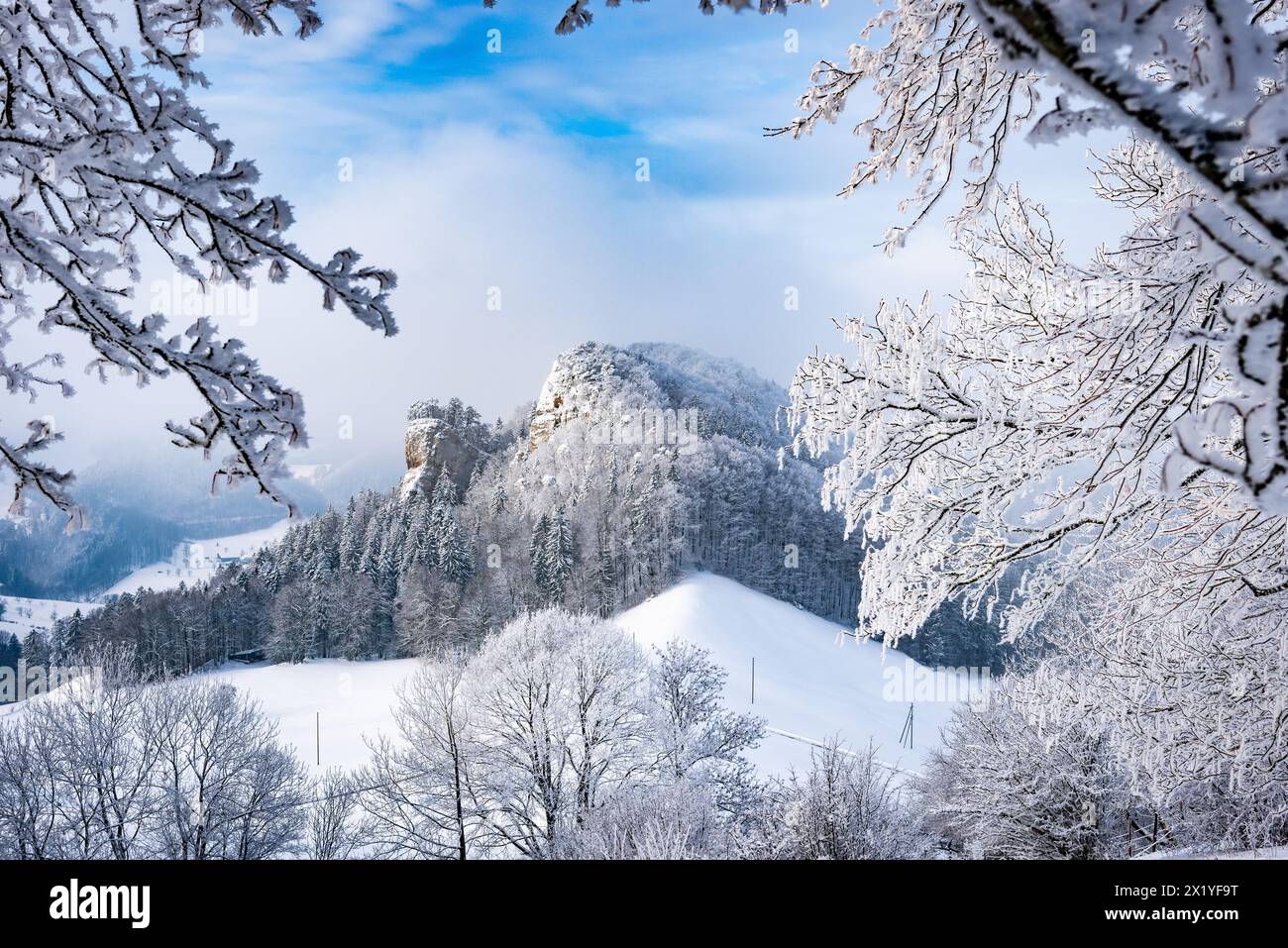 Vision foresight hi-res stock photography and images - Alamy