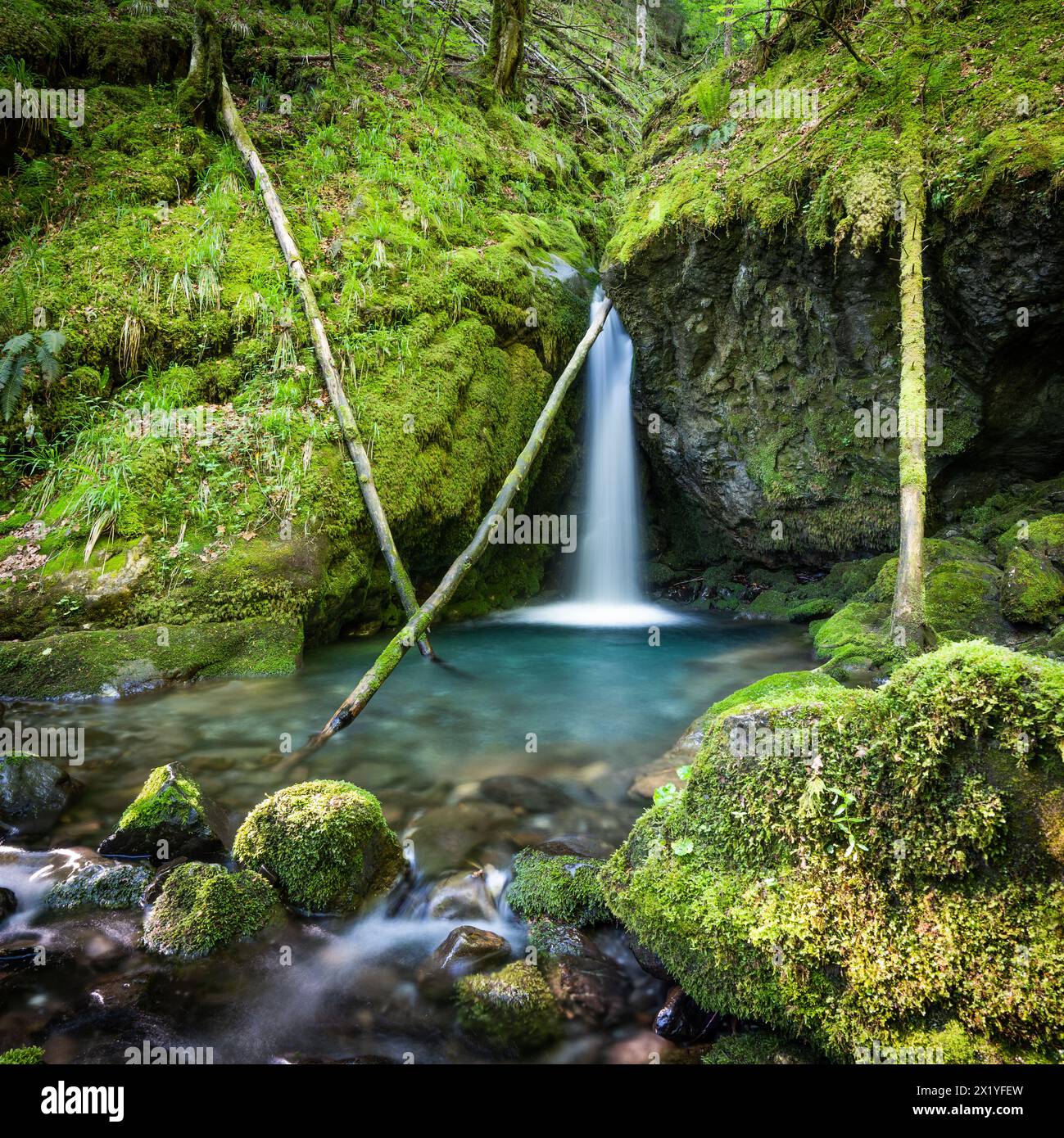 Mystical journey hi-res stock photography and images - Alamy