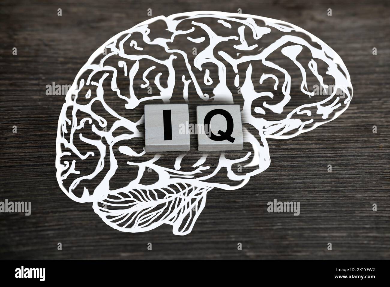 silhouette of the brain, word IQ, intelligence quotient on wooden ...
