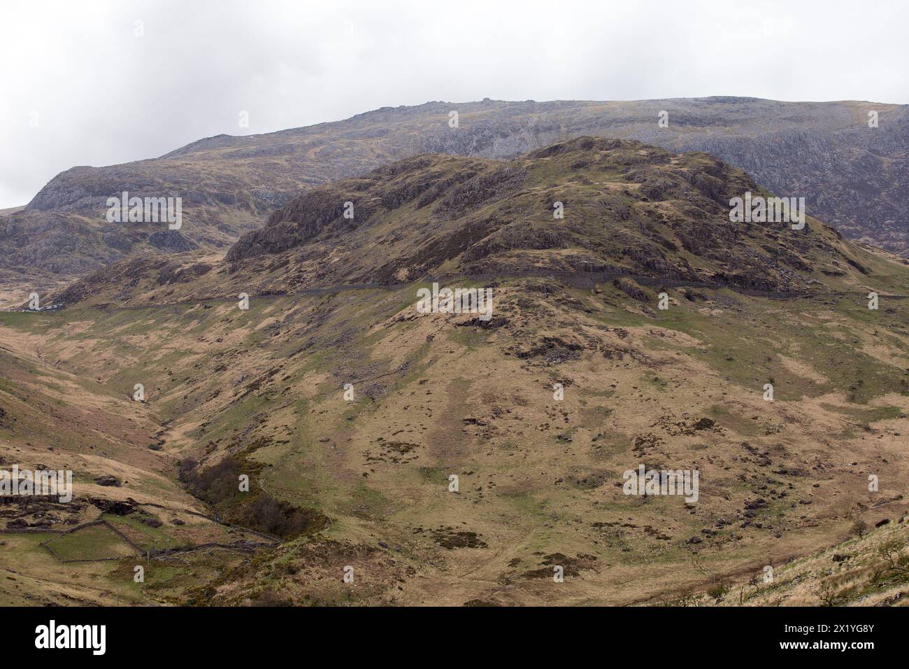 Yr Wyddfa Nature Reserve Stock Photo - Alamy