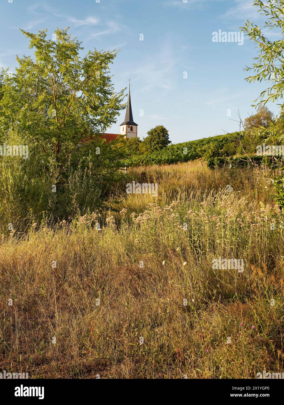 View from the Main and the Main plain to the wine-growing town of ...