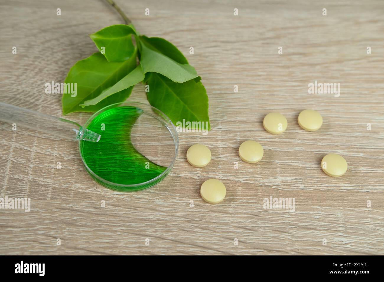 pills, capsules, creating a new medicine from plants, biologically ...