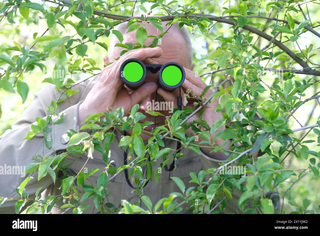 Man hiding in bushes hi-res stock photography and images - Alamy