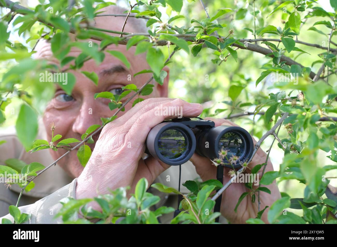 Man hiding in bushes hi-res stock photography and images - Alamy