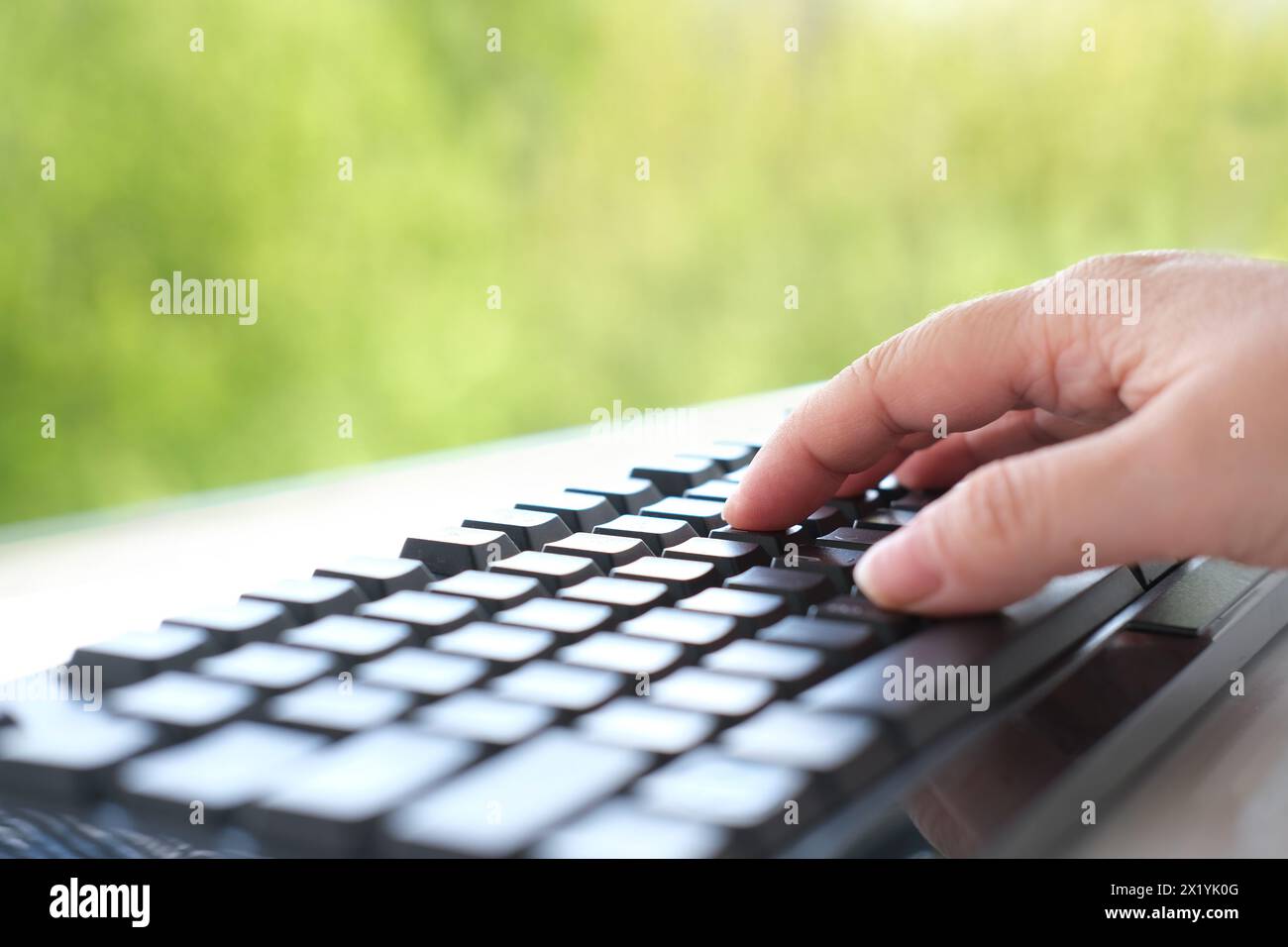 close-up female hand typing text on a computer keyboard on a natural background, workplace ...