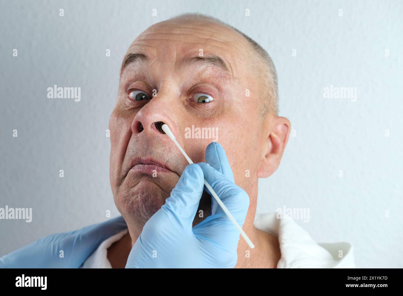 male doctor in gloves takes with swab sample from nose for analysis ...