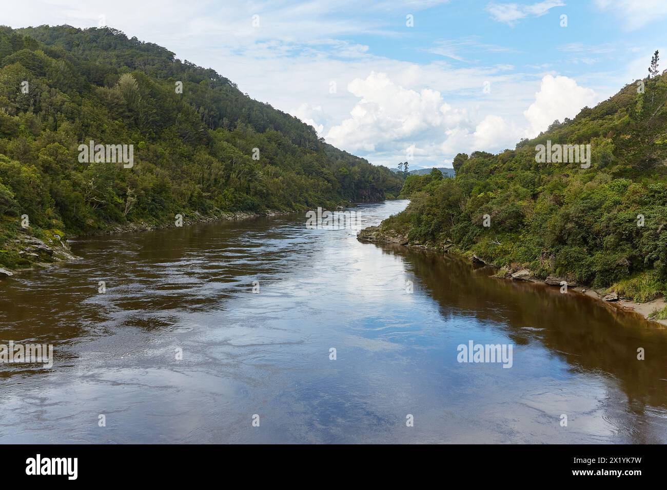 River in the New Zealand wilderness Stock Photo - Alamy