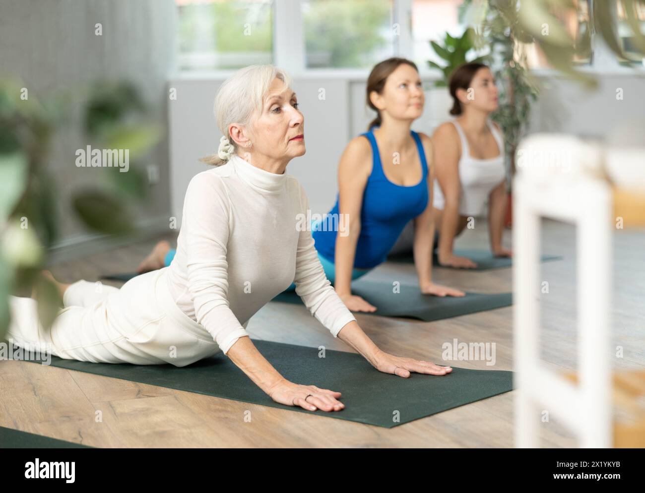 Mature female performing Bhujangasana Cobra Stretch posture during ...