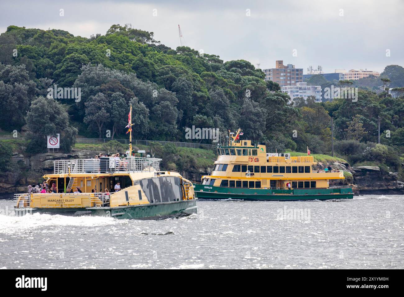 Sydney Ferries The Sirius And Margaret Olley Pass Each Other Infant Of