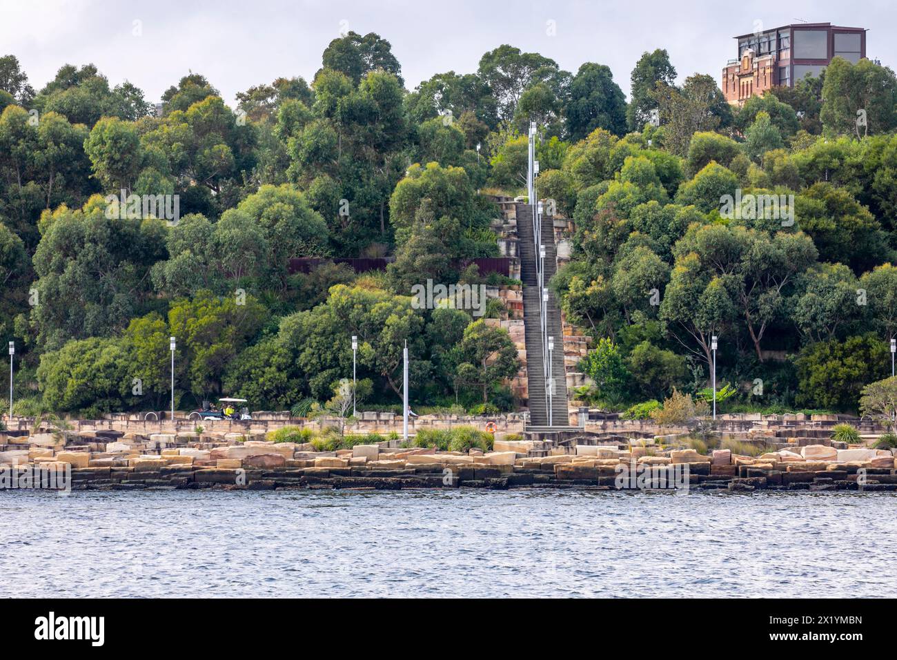 Burrawang steps on the Wulugul walk in Barangaroo Reserve headland park ...
