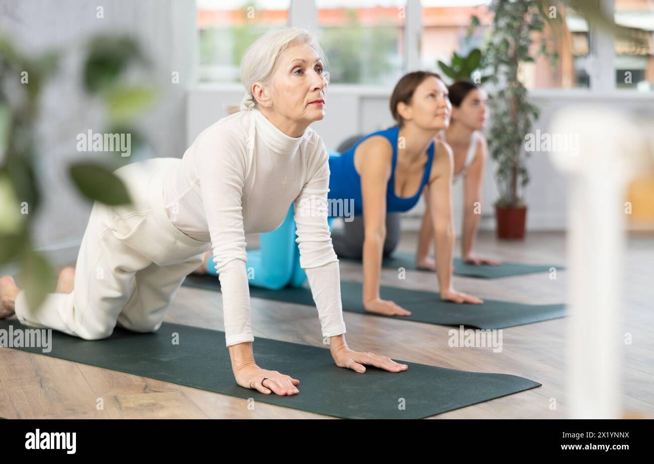 Three sports women practice cow pose Stock Photo - Alamy