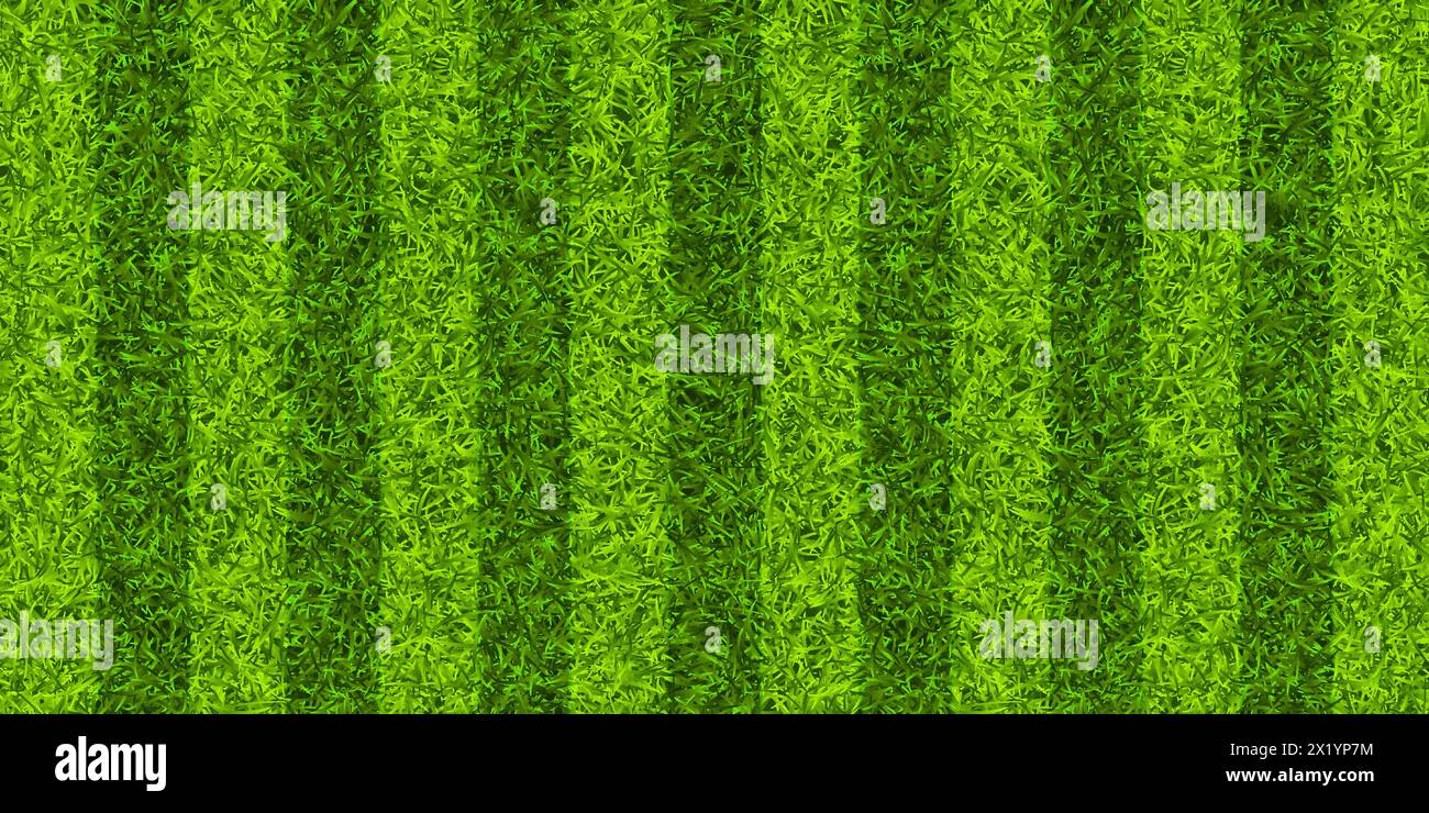 Soccer playing field with green grass. Football pitch background with ...