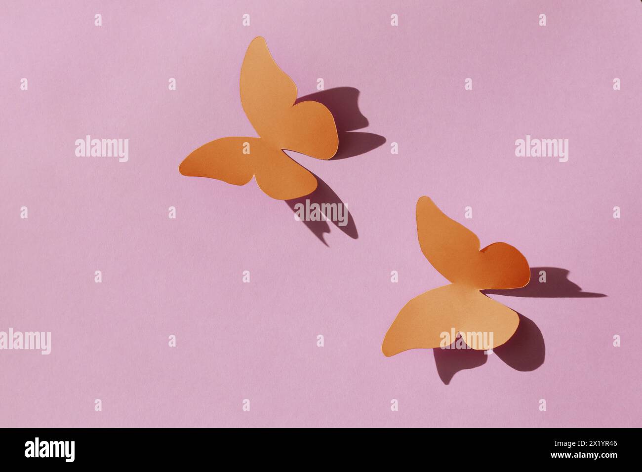 Two different butterflies hi-res stock photography and images - Alamy