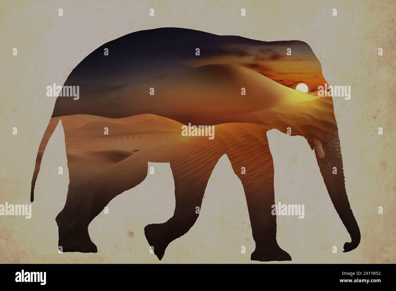 Double exposure of elephant and sandy desert Stock Photo - Alamy