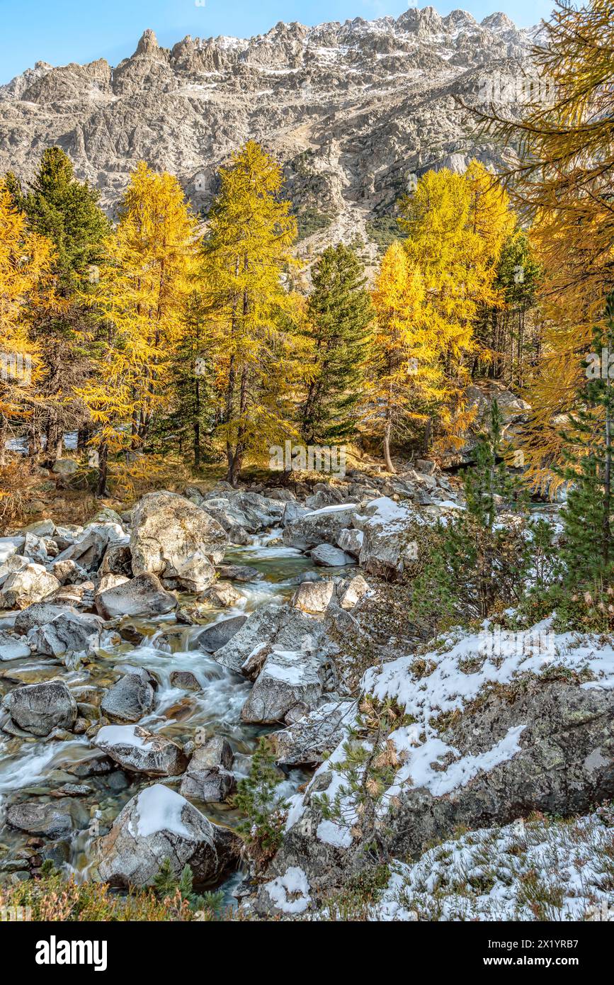 Cascada da Bernina waterfall on the Morteratsch glacier in autumn ...