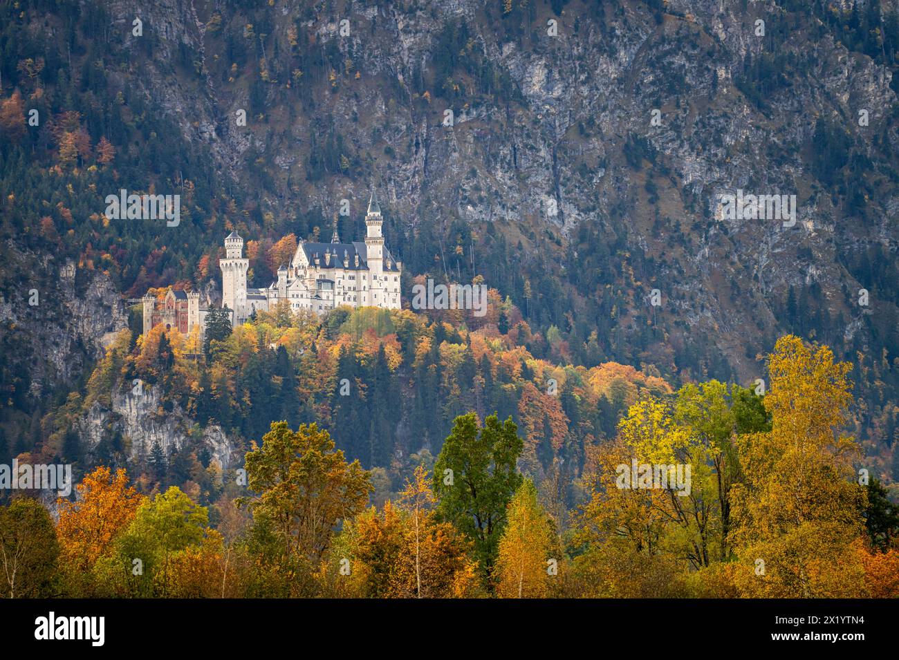 Neuschwanstein Castle in the landscape of Schwangau, Allgäu, Bavaria ...