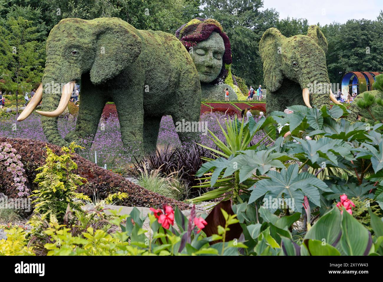 Mosaiculture quebec hi-res stock photography and images - Alamy