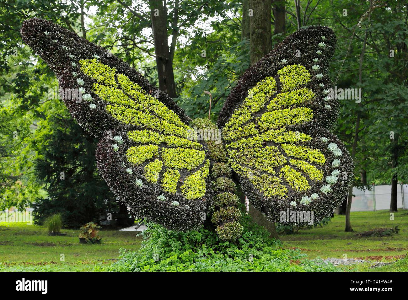 Mosaiculture quebec hi-res stock photography and images - Alamy