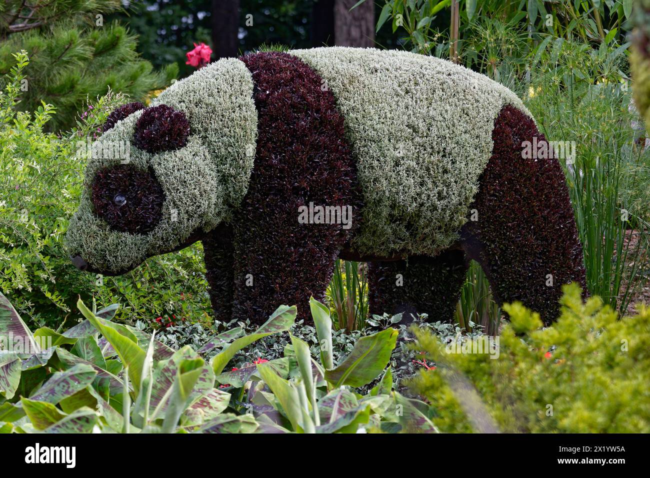 Mosaiculture quebec hi-res stock photography and images - Alamy