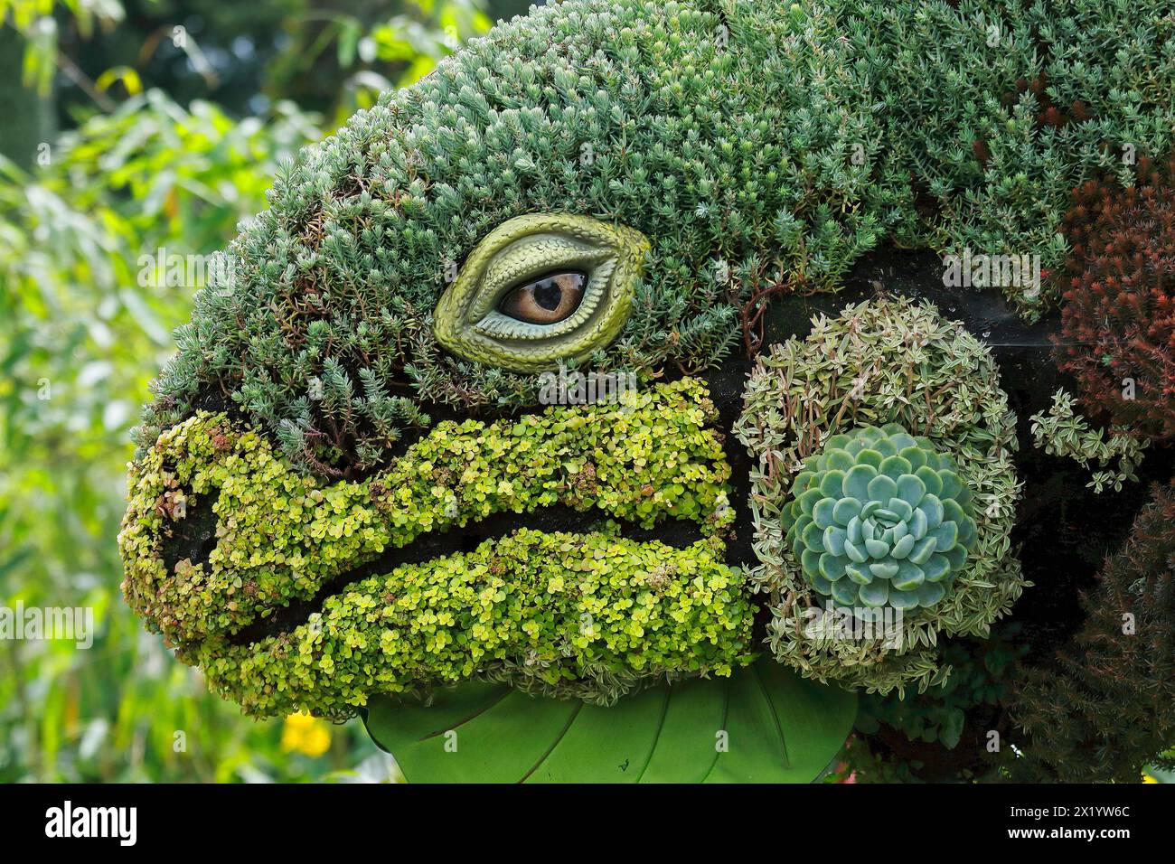 Mosaiculture quebec hi-res stock photography and images - Alamy