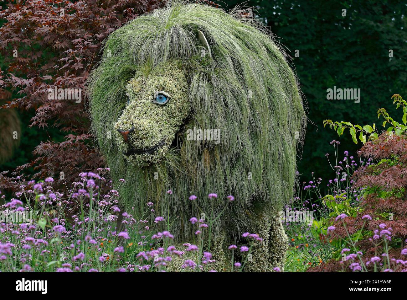 Mosaiculture quebec hi-res stock photography and images - Alamy