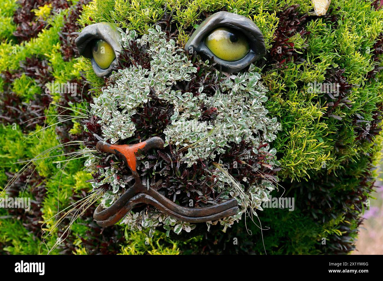 Mosaiculture quebec hi-res stock photography and images - Alamy