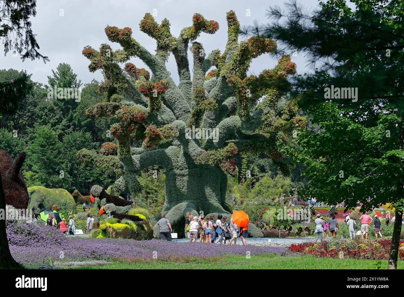 Mosaiculture quebec hi-res stock photography and images - Alamy