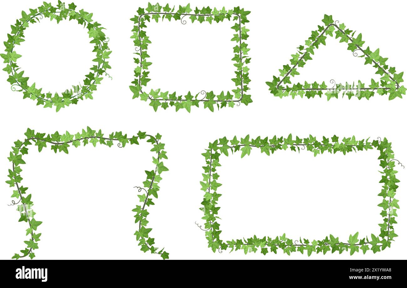 Ivy frames. Creep vines garland, creeper plant climbing wall, vine leaf ... Ivy frames. Creep vines garland, creeper plant climbing wall, vine leaf ...