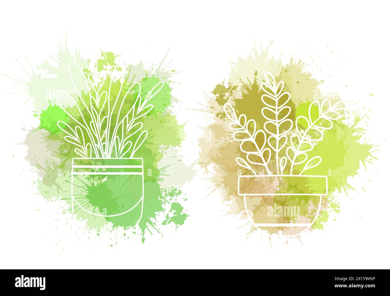 Vector set of white contour plants in pots clip arts with green ...