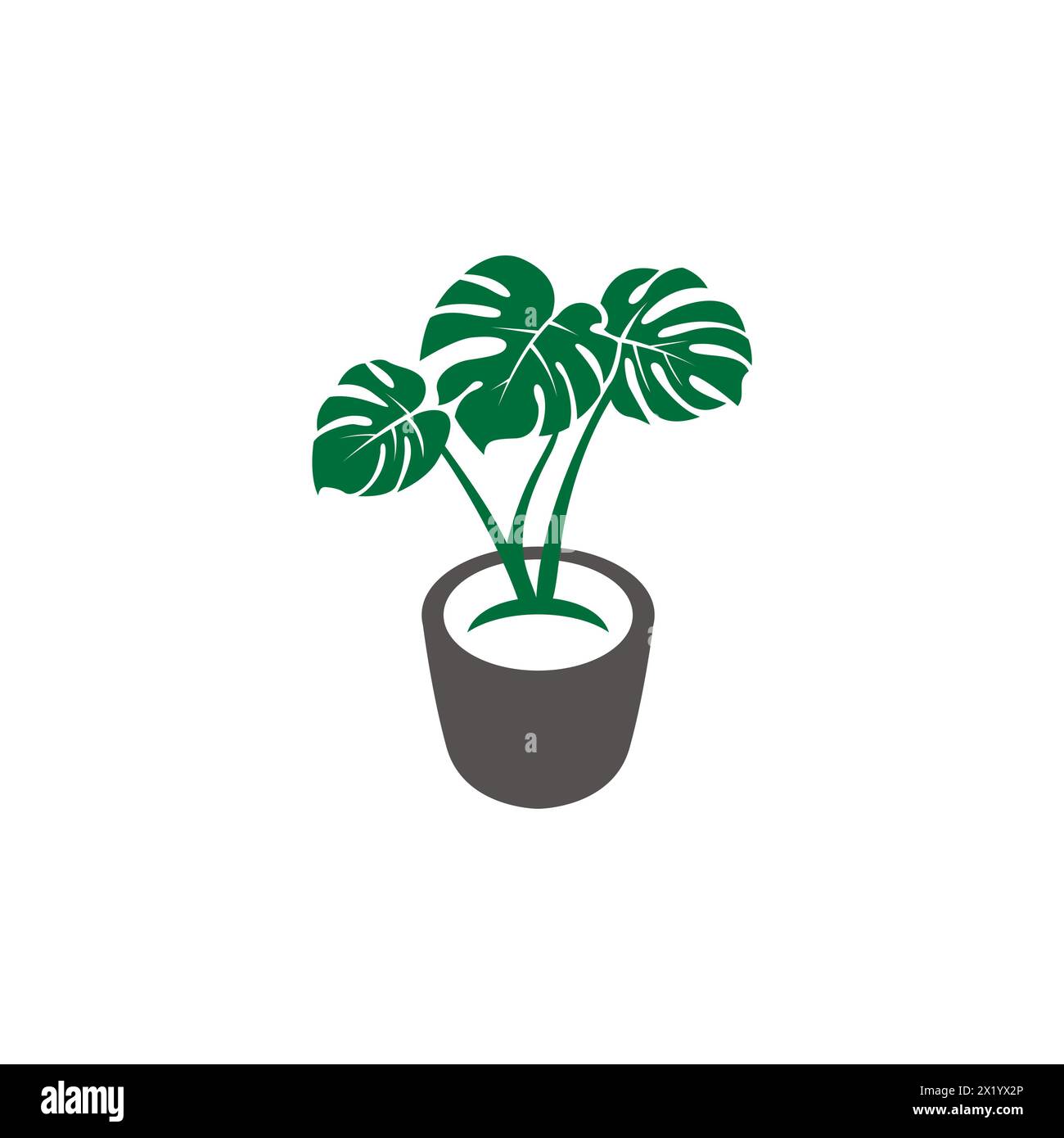 Monstera plants in pots Logo. Monstera Icon Stock Vector Image & Art ...