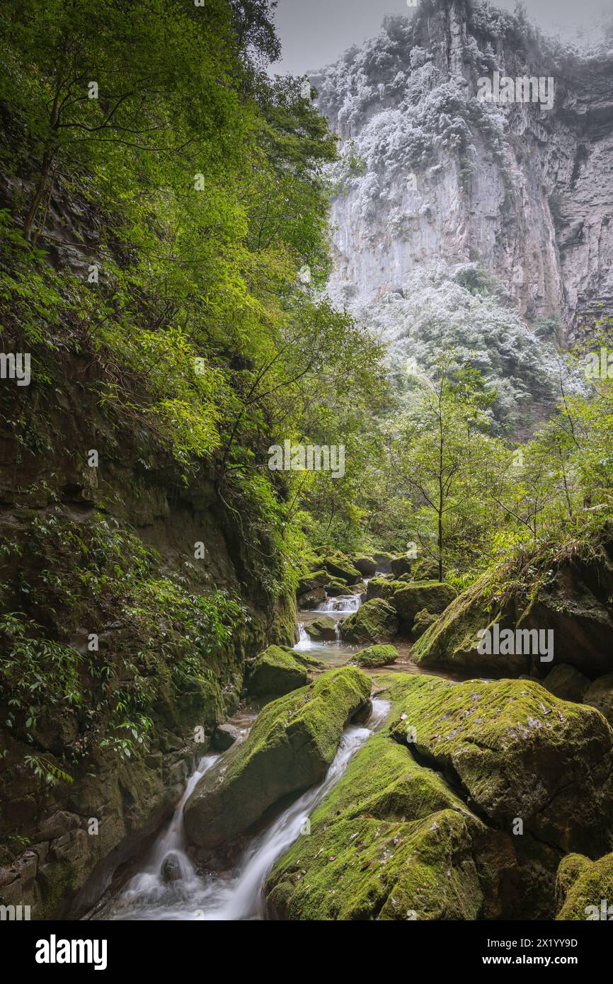 Wulong Karst limestone rock formations in Longshui Gorge Difeng, an ...