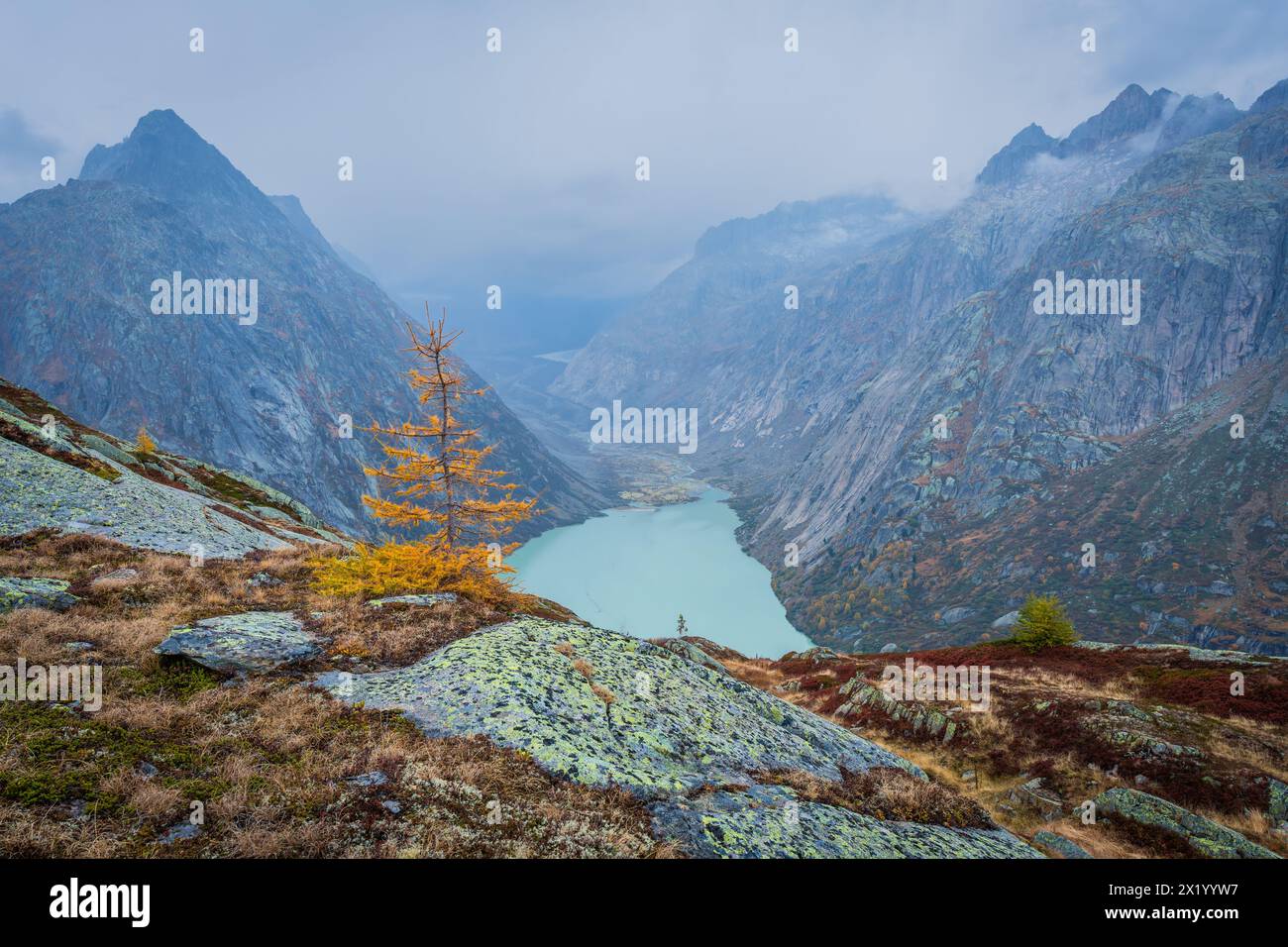 Autumn in the Grimsel area; Canton of Bern, Switzerland Stock Photo - Alamy