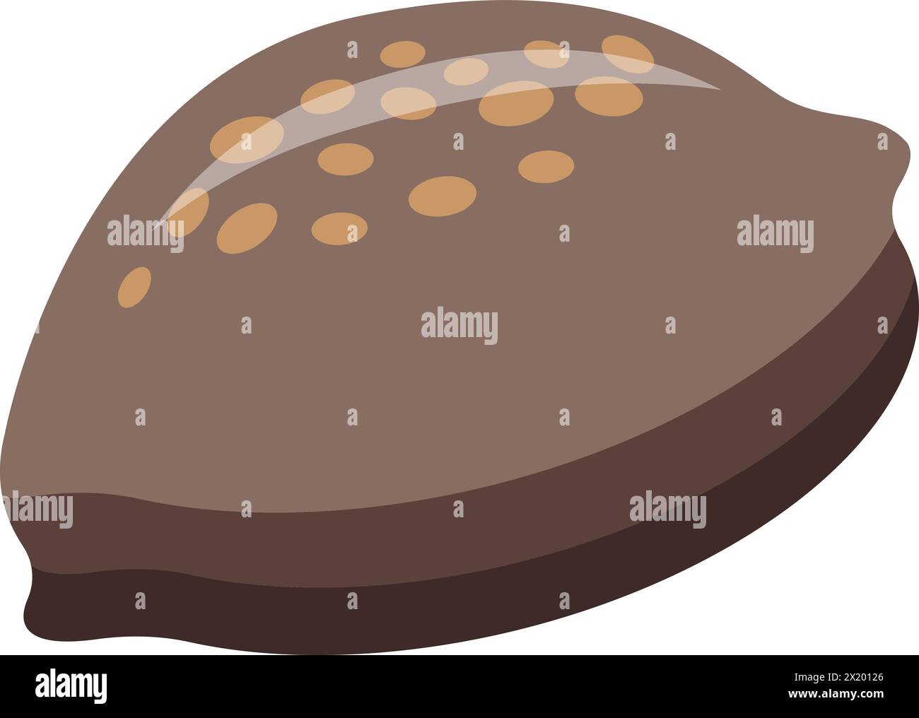 Dark brown conch icon isometric vector. Sea underwater animal. Aquatic ...